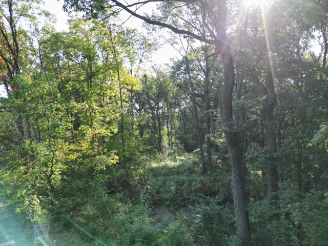 991 Greenview Drive