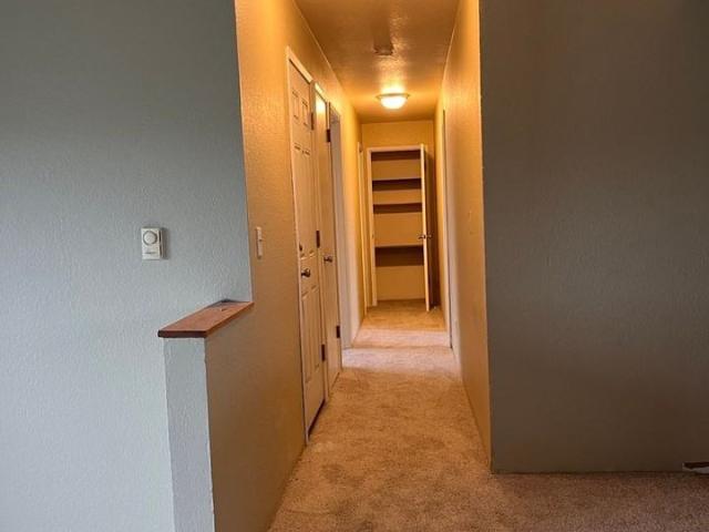 9925 Everett Wildwood 1 Bedroom Apartment for Rent at 9925 4th Ave W, Everett, WA 98204 Cascade View