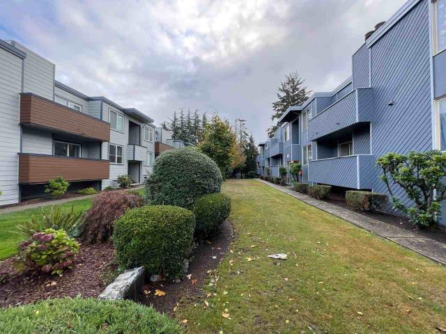 9925 Everett Wildwood 2 Bedroom Apartment for Rent at 9925 4th Ave W, Everett, WA 98204 Cascade View