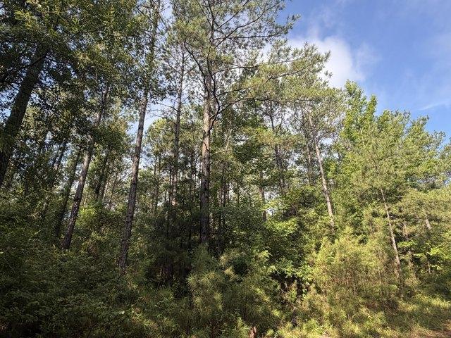 9925 Highway 25, Pine Hill, AL 36769