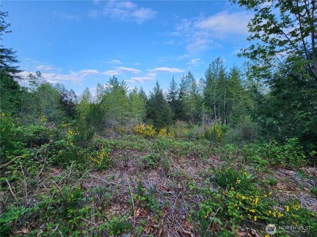 992 Sunrise Rd, Brinnon, WA 98320 | MLS #2205