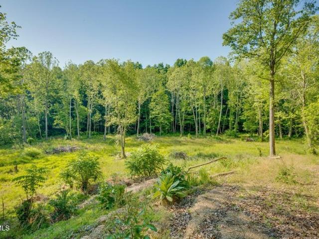 993 Highway 75, Blountville, TN 37617