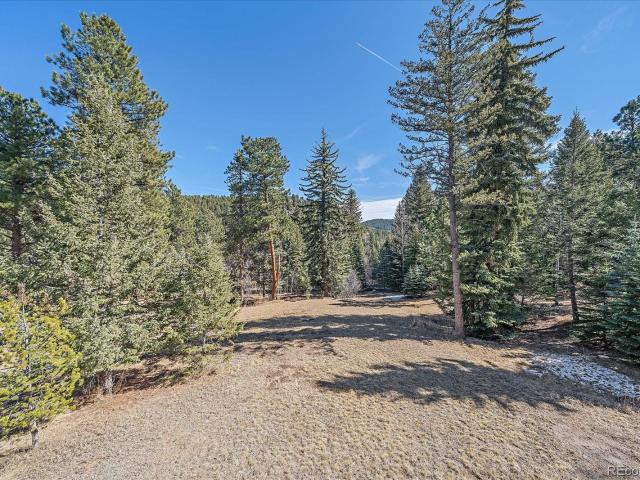 9948 S Turkey Creek Rd, Conifer, CO 80433 | MLS #6334
