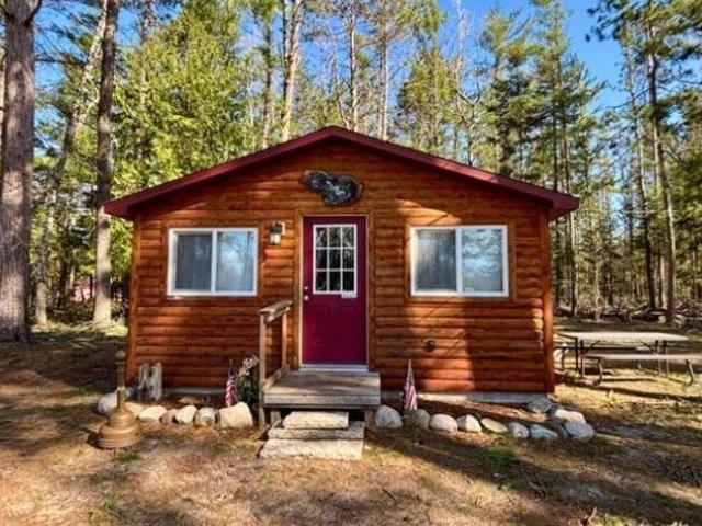 9940 Peninsula Dr, Onaway, MI 49765