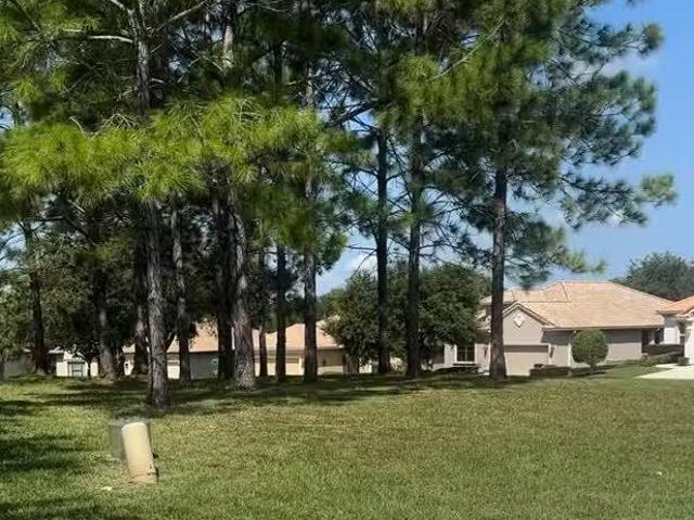 994 W Silver Meadow Loop, Hernando, FL 34442 MLS O6226538