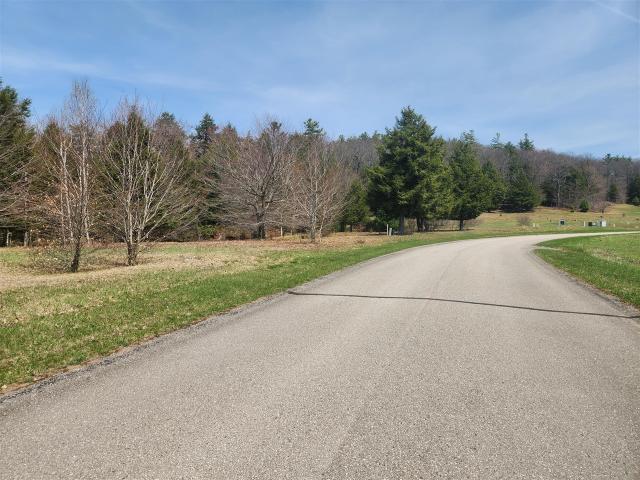 9954 N Slope Drive # 93