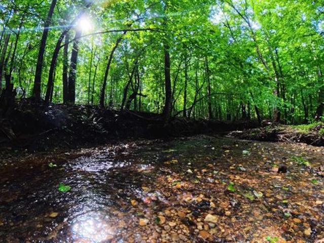 995 Indian Springs Rd, Tuscumbia, AL 35674