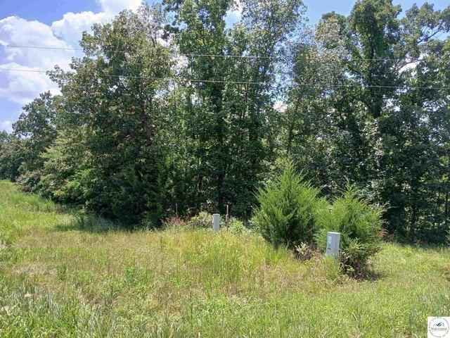 995 NW Yy Hwy, Osceola, MO 64776