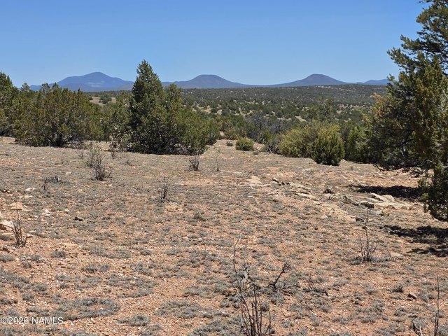 9966 Northstar Rd, Williams, AZ 86046