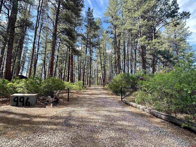 996 and 1032 Raccoon Dr, Pagosa Springs, CO 81147