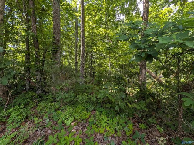 996 Keel Mountain Road