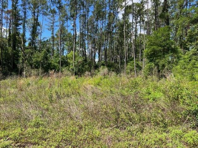 9976 N Athenia Dr, Citrus Springs, FL 34434