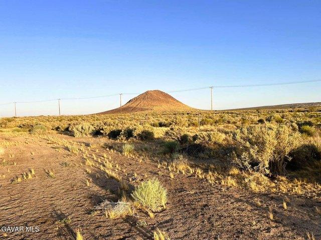 9982 Grant Ave, California City, CA 93505