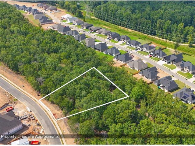 998 Fern Ridge Rd Lot 8