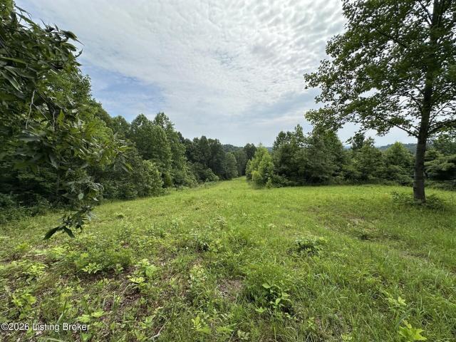 998 Old Buzzard Roost Rd