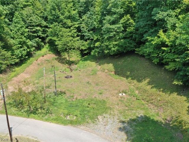998 Sugarcamp Rd, Big Bend, WV 26136