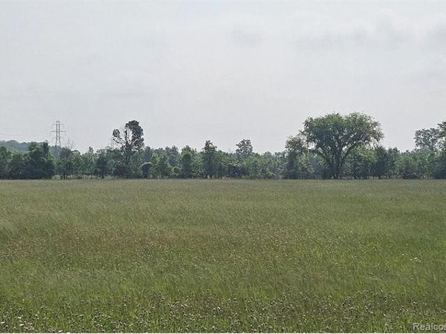 9994 Meisner Rd, Casco Township, MI 48064