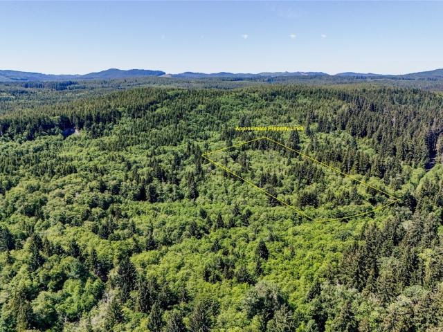 99992 Dowan Creek Rd, Forks, WA 98331 | MLS #2302