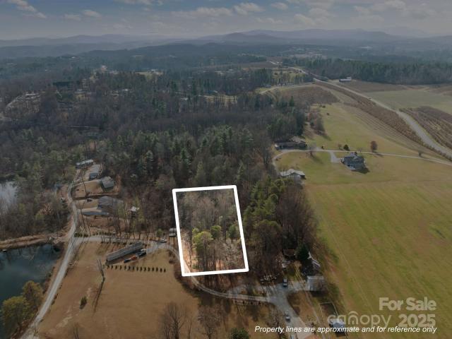 99999 Twin Lakes Dr Flat, Hendersonville, NC 28739 | MLS #4325