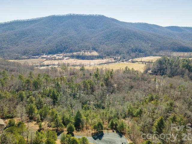 99999 Woodhen Way Units 138 & 139, Horse Shoe, NC 28742