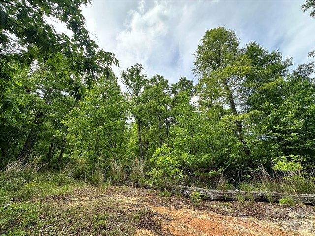 99999 Bird Creek Estates Rd, Black Mountain, NC 28711