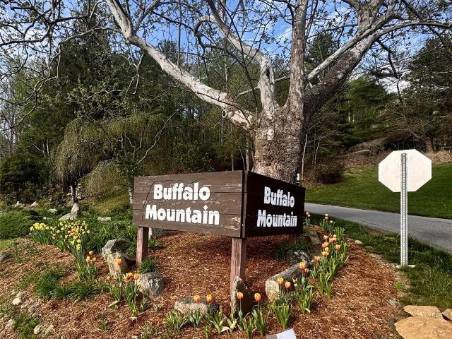 99999 Buffalo Trail, Unit 86, Asheville, NC 28805 | MLS #4285 | Compass