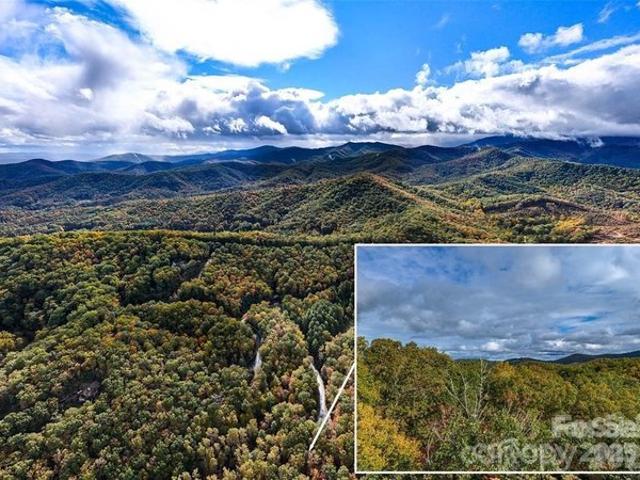 99999 Caddis Ln Unit 91, Horse Shoe, NC 28742