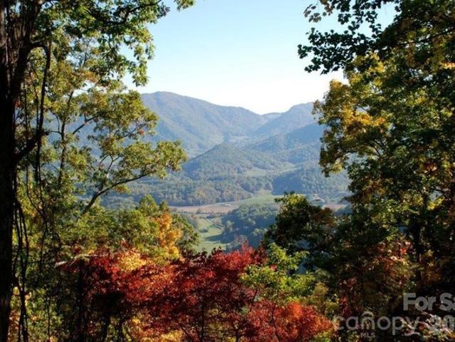 99999 Davidson Gap Rd Unit 79, Leicester, NC 28748