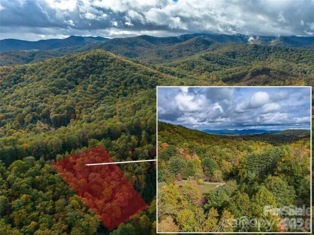 99999 Mills River Way # Lot 107