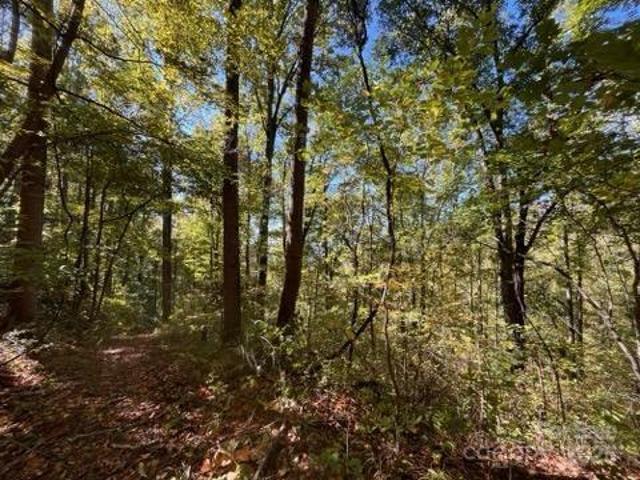 99999 Moody Cove Rd, Weaverville, NC 28787 | MLS #4313