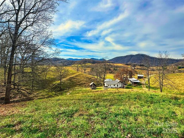99999 Old Newfound Rd, Leicester, NC 28748 | MLS #4326