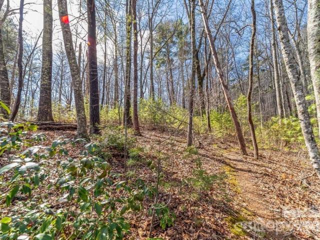 99999 Parker Rd, Asheville, NC 28805 | MLS #4325 | Compass