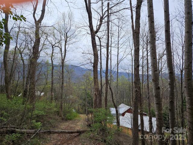 99999 Patton Hill Rd, Unit 3, Swannanoa, NC 28778 | MLS #4243