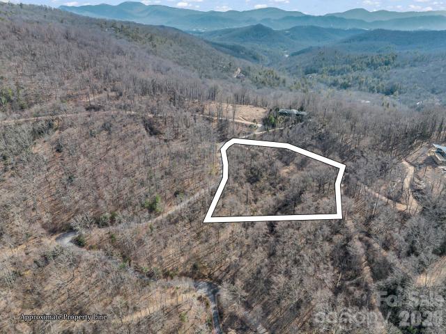 99999 Rose Hill Rd, Asheville, NC 28803 | MLS #4352