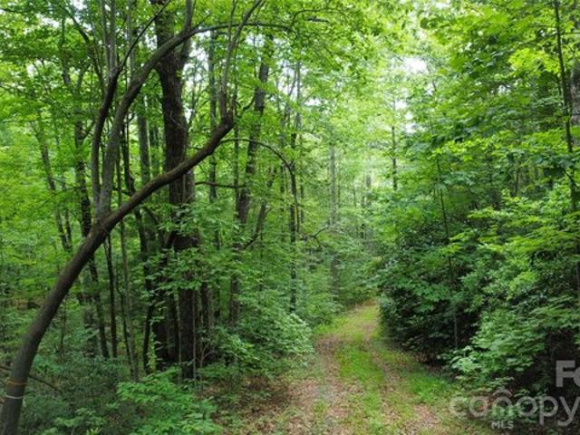 9999 N Pointe Dr Unit 70, Zirconia, NC 28790