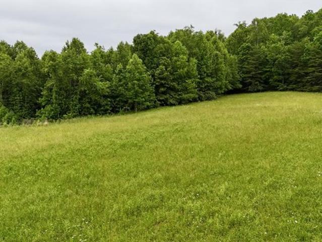 9999 Auger Springs Rd, Corbin, KY 40701