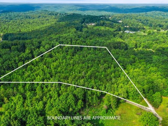 9999 Brooks Rd, Williamsburg, KY 40769