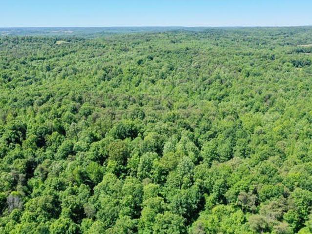 9999 Cannon Rd, Princeton, KY 42445