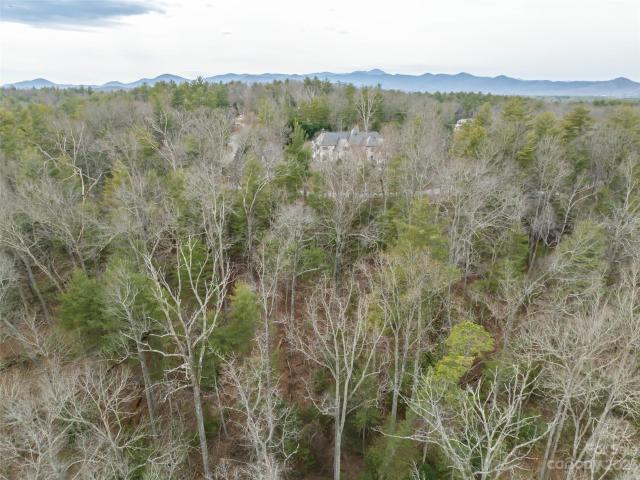 9999 Cedar Hill Dr, Unit 12, Asheville, NC 28803 | MLS #4000