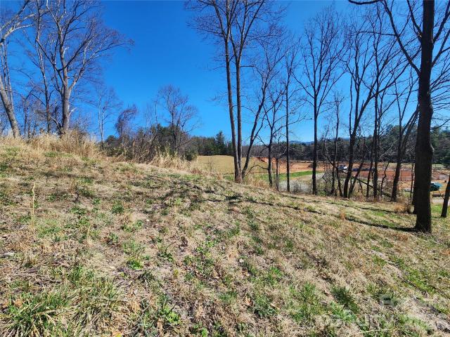 9999 Country Dr, Mars Hill, NC 28754 | MLS #4353
