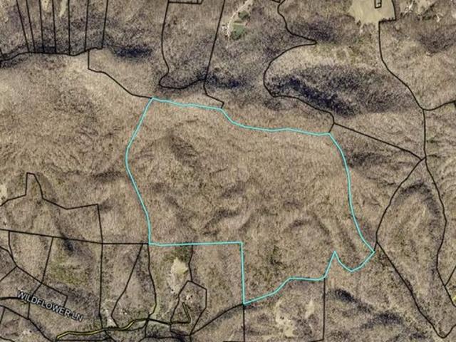 9999 Dreyfus Rd, Waco, KY 40385