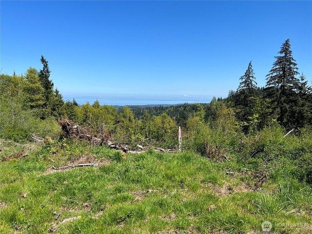 9999 E Half Mile Rd Lot D, Port Angeles, WA 98362