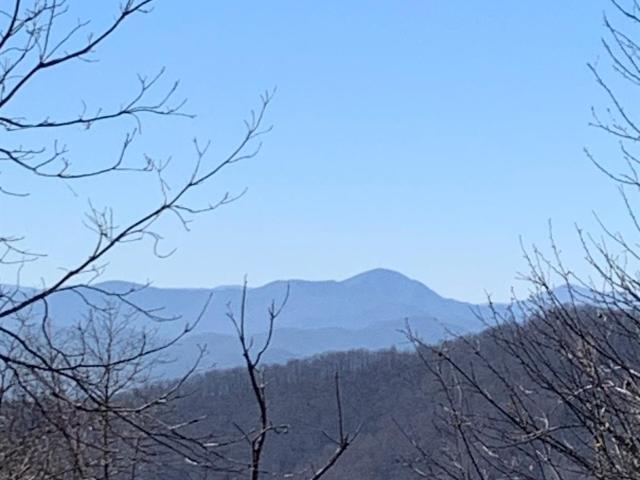 9999 Ebby Ridge Rd, Unit 340, Fairview, NC 28730 | MLS #4028 | Compass