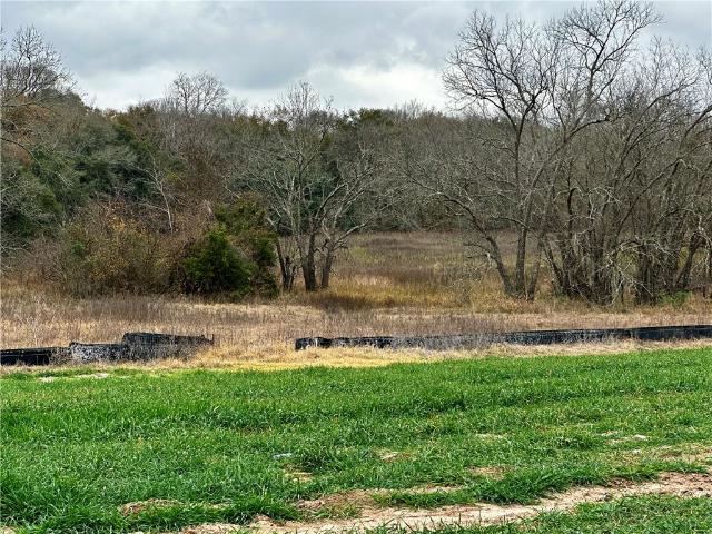 9999 Fm 60 St E, Somerville, TX 77879 | MLS #25007