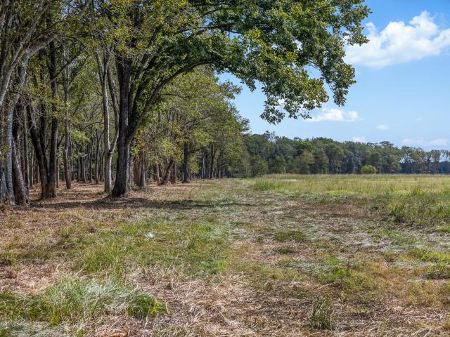 9999 Fm 834, Liberty, TX 77575 | MLS #6987 | Compass