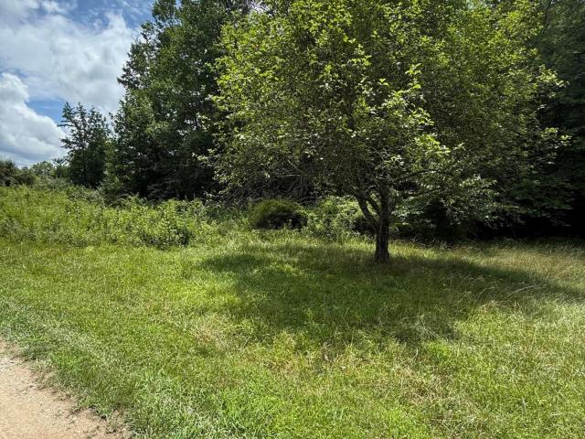 9999 Hwy 6 Aunt Kates Branch