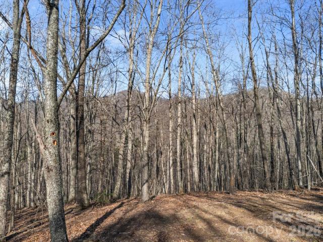 9999 Hidden Cove Road