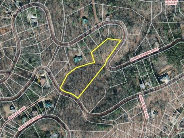 9999 Luther Burbank Dr, Lake Lure, NC 28746