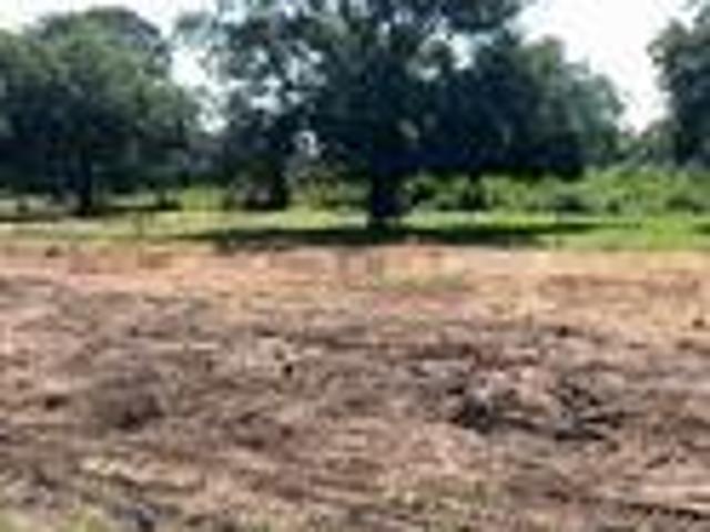 9999 Pin Oak Street Road