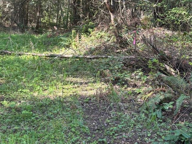 9999 Pristine Lane, Lot 3